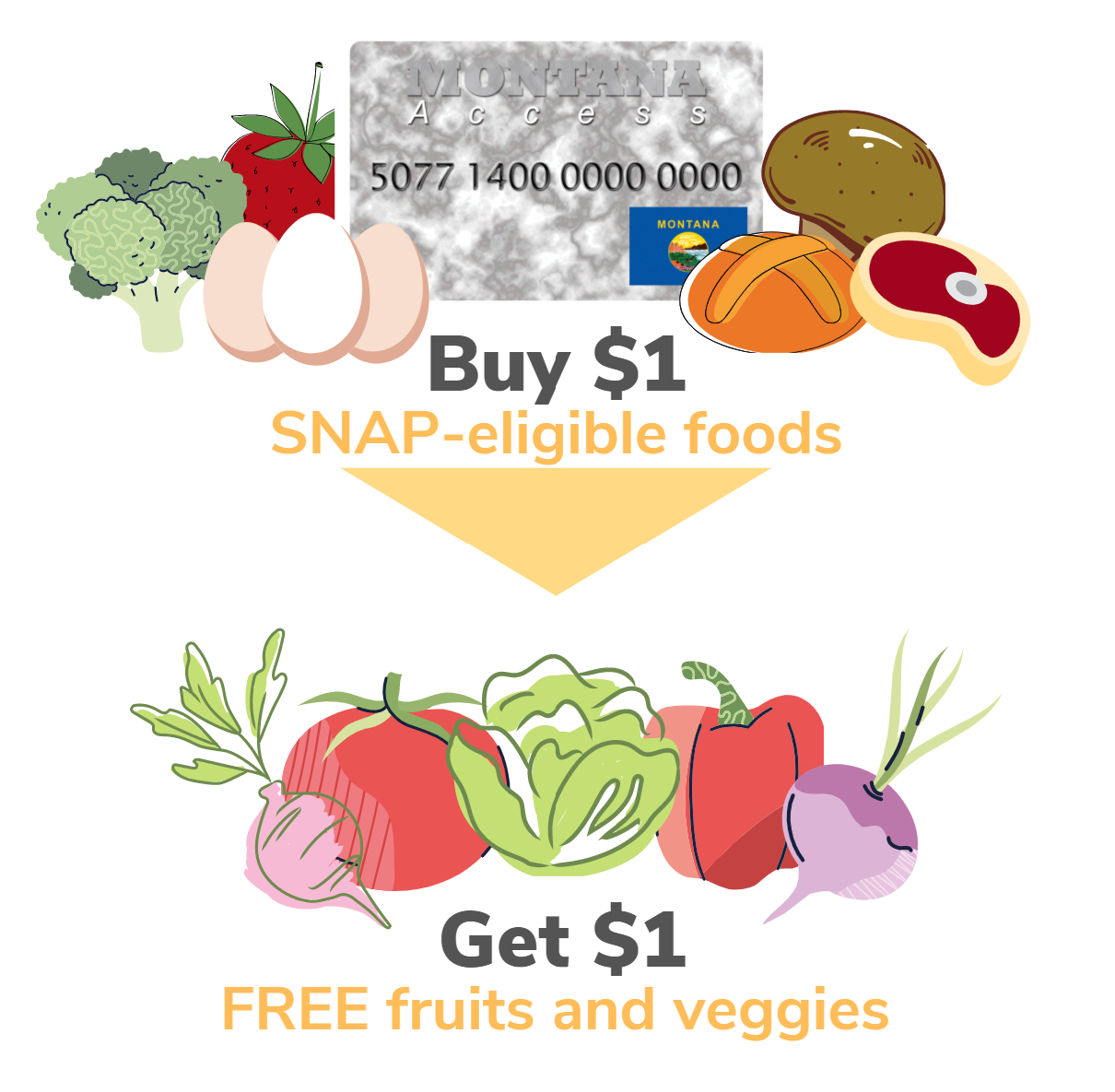 How It Works - Double Snap Dollars